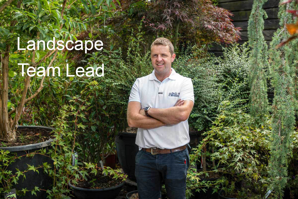 Landscape Team Lead | D Thomas Landscape